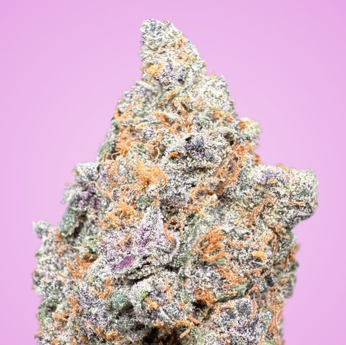 Landingpage – SUGARWOLF SUPPLY CO